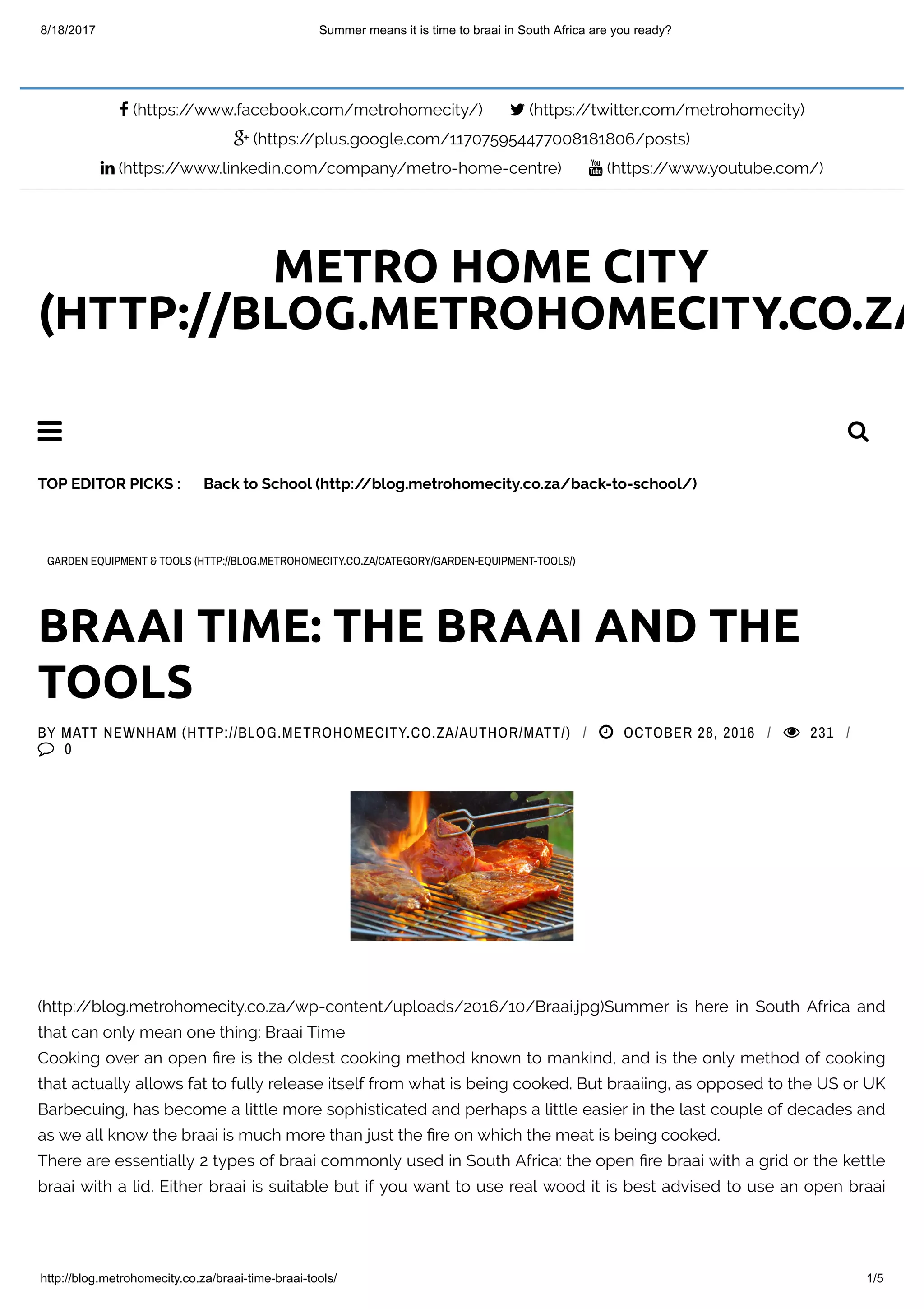 Summer means it is time to braai in south africa are you ready | PDF