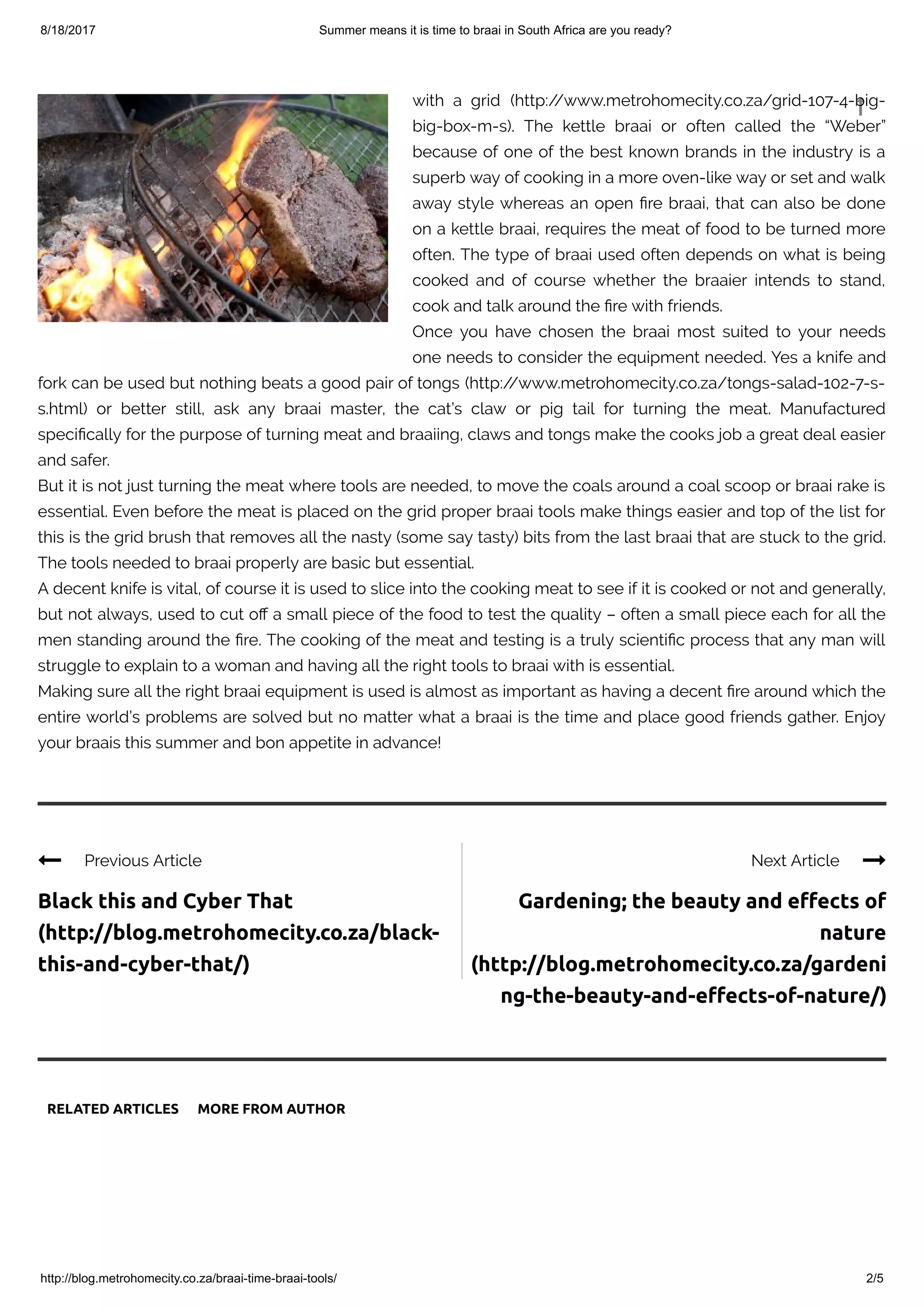 Summer means it is time to braai in south africa are you ready | PDF