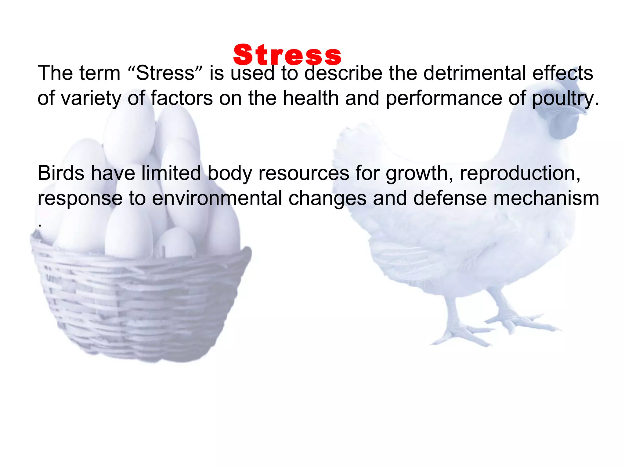 Stress management of poultry | PPT