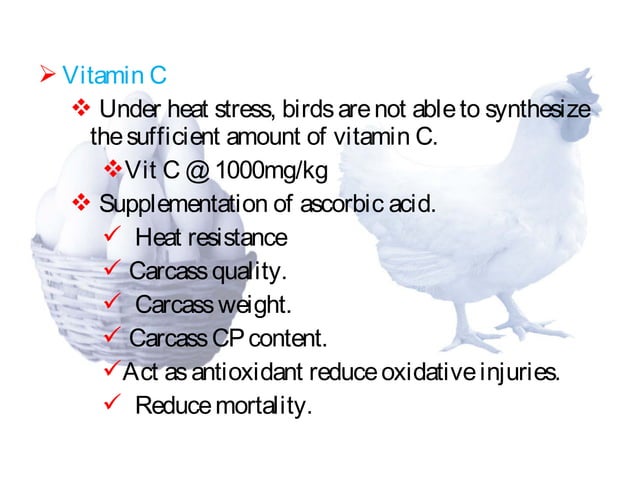 Stress management of poultry | PPT