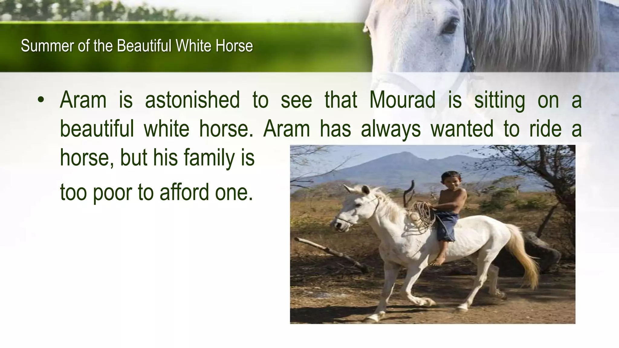 Summer of the beautiful white horse | PPSX