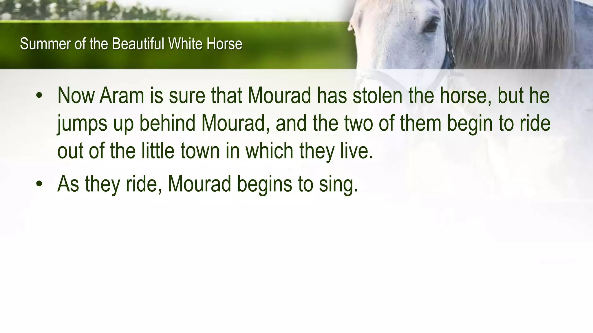 Summer of the beautiful white horse | PPSX