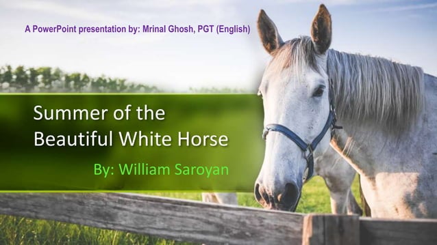 Summer of the beautiful white horse | PPSX