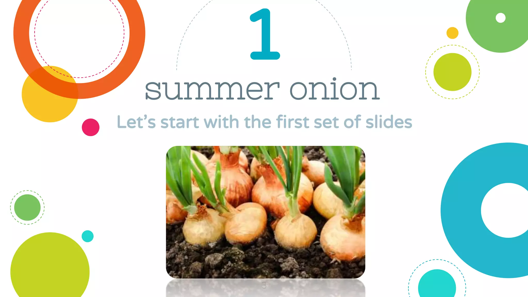 Summer Onion.pptx