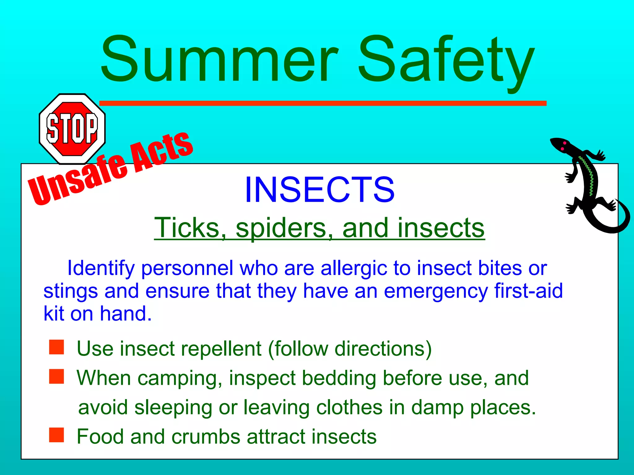 Summer Safety | PPT