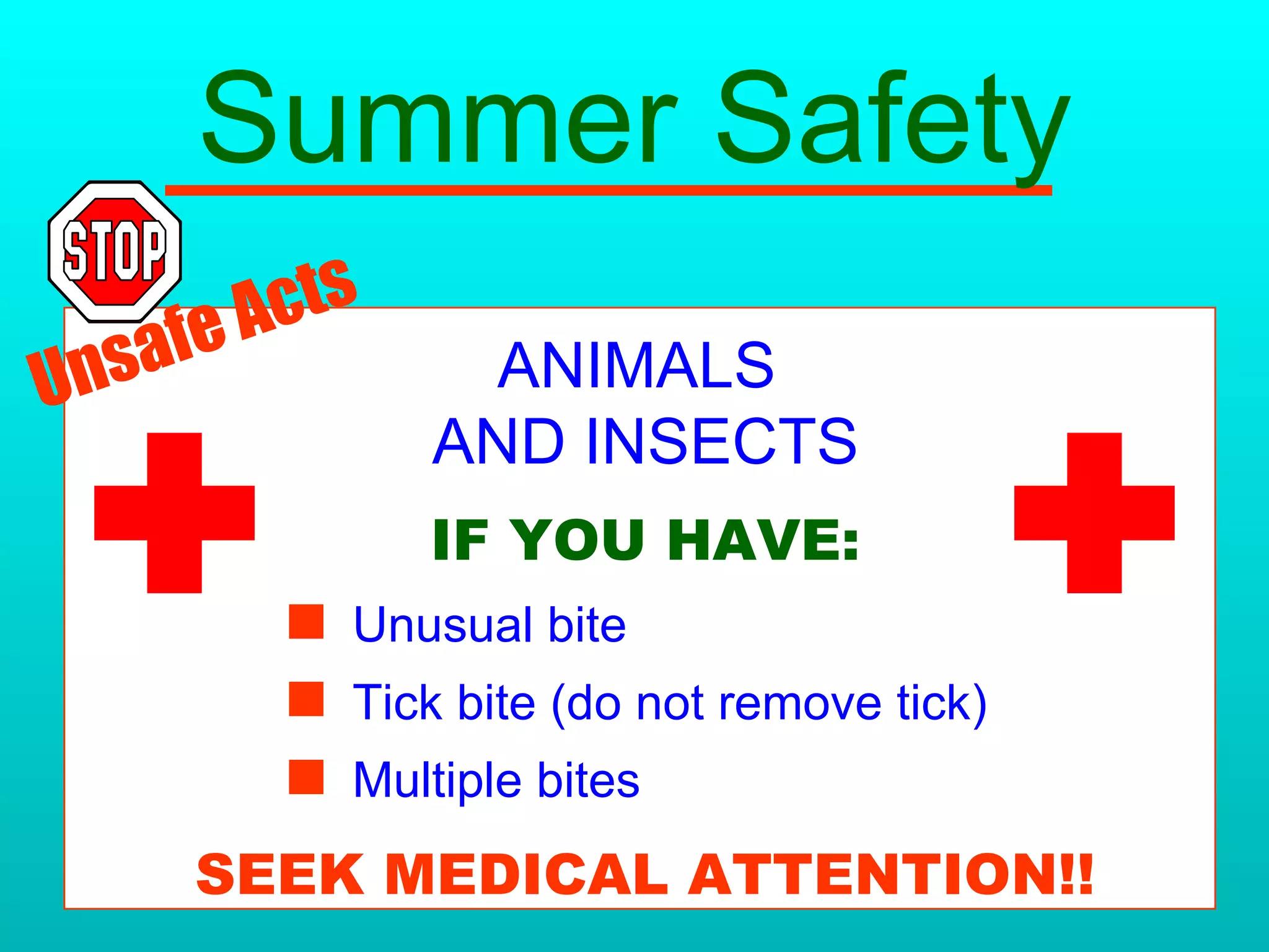 Summer Safety | PPT