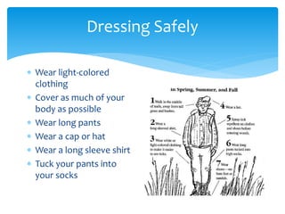 Summer Safety 2016 | PPTX