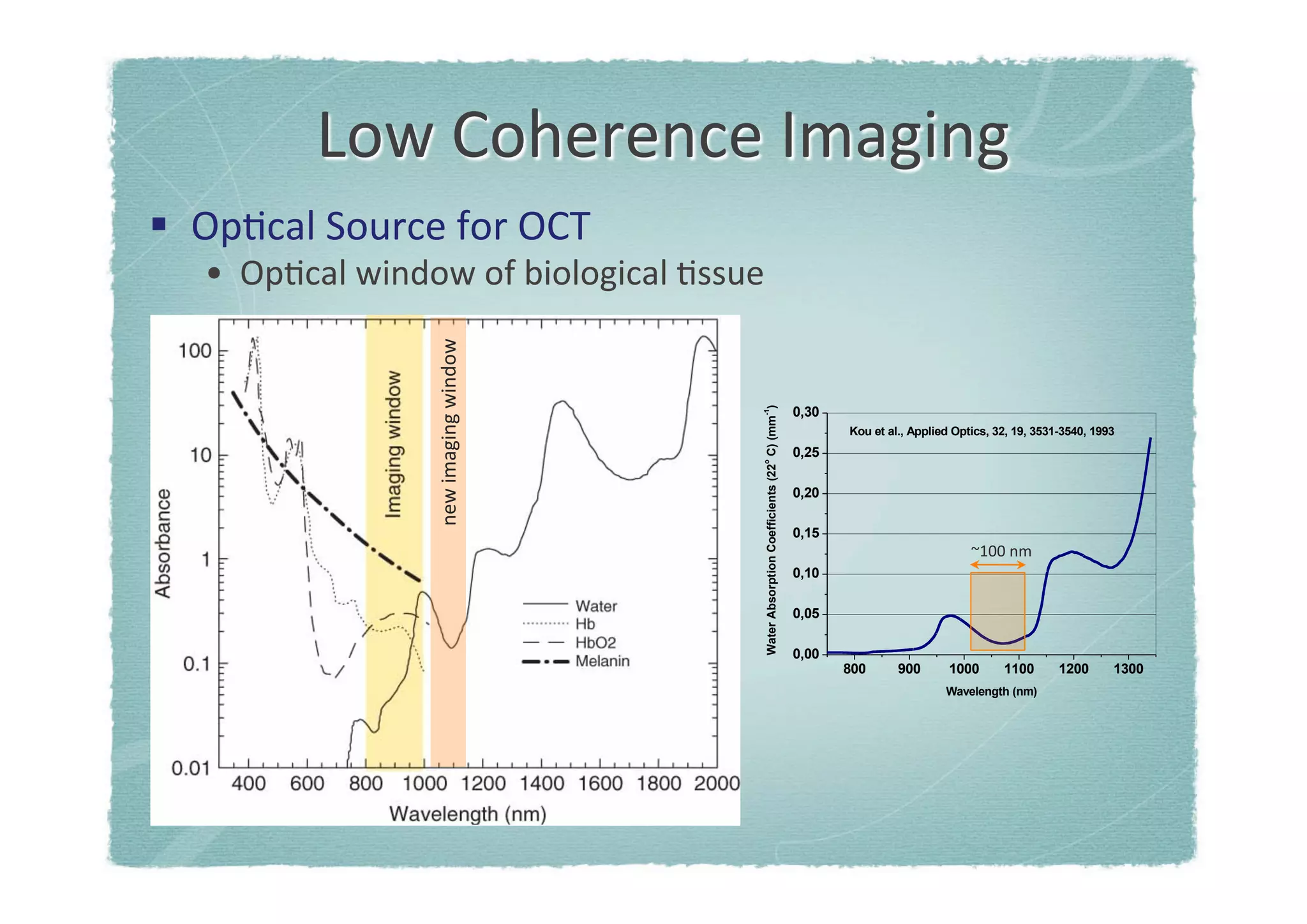 Low Coherence Interferometry: From Sensor Multiplexing to Biomedical Imaging | PDF | Physics ...