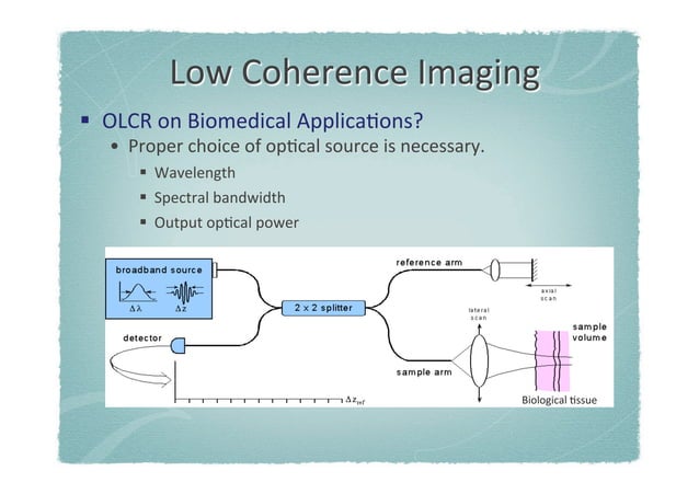 Low Coherence Interferometry: From Sensor Multiplexing to Biomedical ...