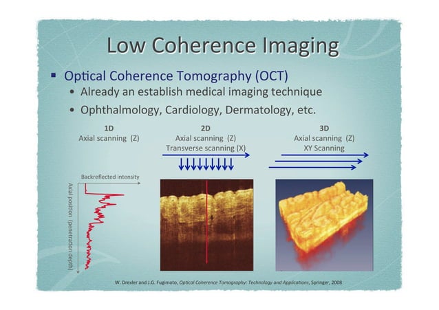 Low Coherence Interferometry: From Sensor Multiplexing to Biomedical Imaging | PDF | Physics ...