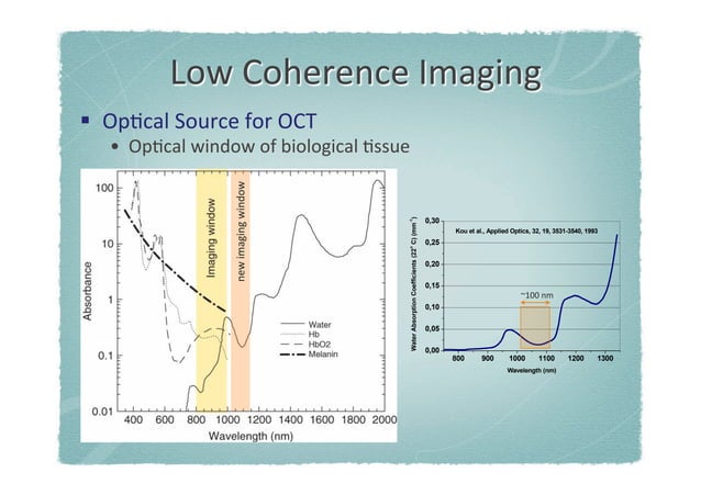 Low Coherence Interferometry: From Sensor Multiplexing to Biomedical ...