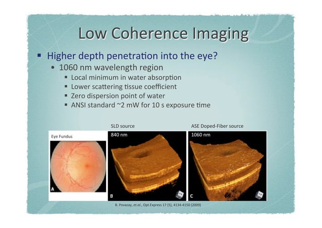 Low Coherence Interferometry: From Sensor Multiplexing to Biomedical ...