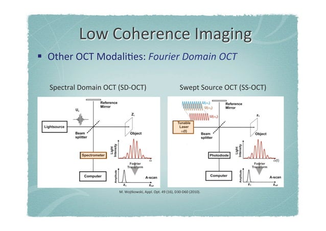Low Coherence Interferometry: From Sensor Multiplexing to Biomedical ...