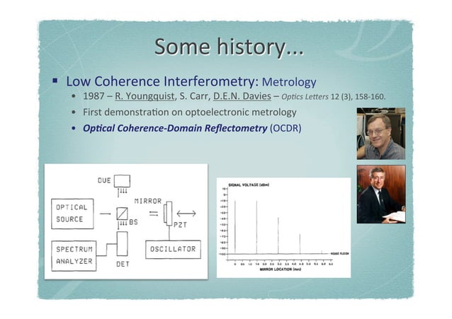 Low Coherence Interferometry: From Sensor Multiplexing to Biomedical Imaging | PDF | Physics ...