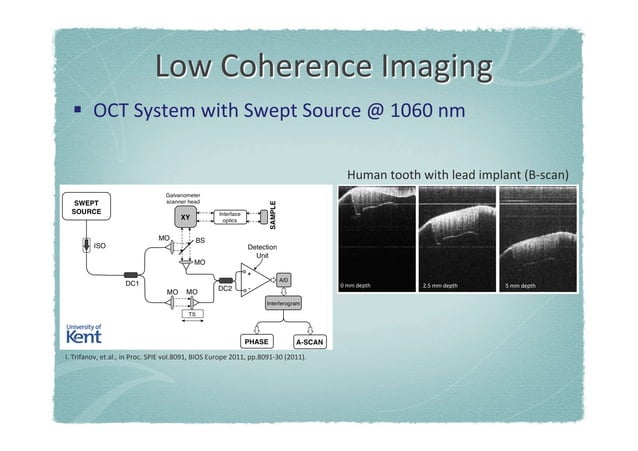 Low Coherence Interferometry: From Sensor Multiplexing to Biomedical Imaging | PDF | Physics ...