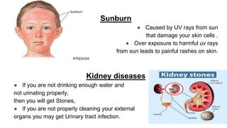 GREESHMA RITUCHARYA (Summer season regimen).pptx