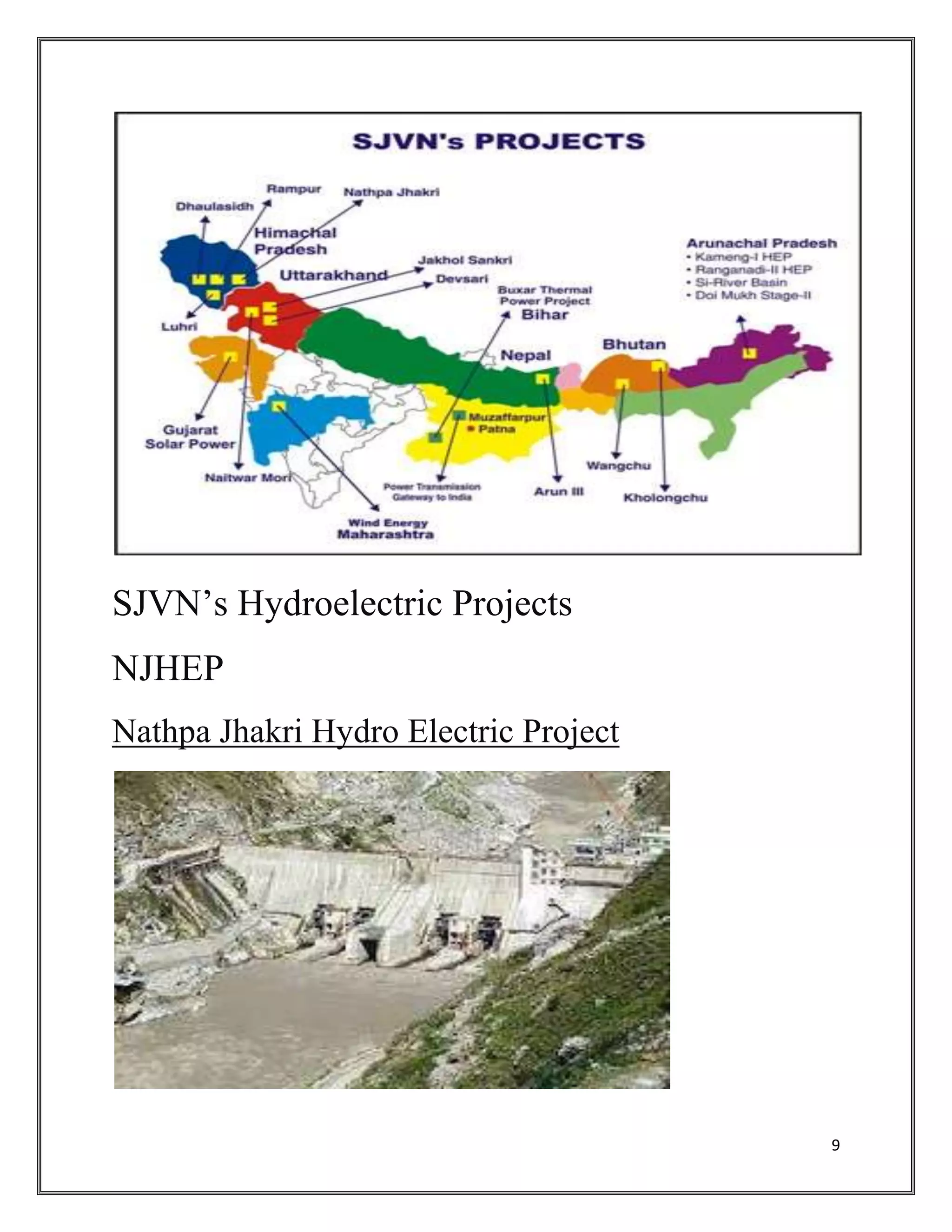 Summer training report on SJVNL | DOCX