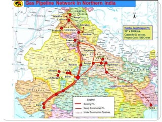 Summer training report | PPT