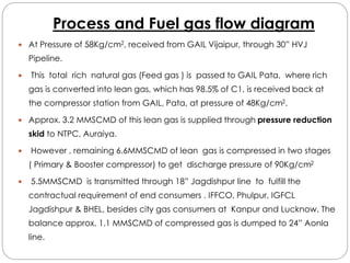 Summer training report | PPTX