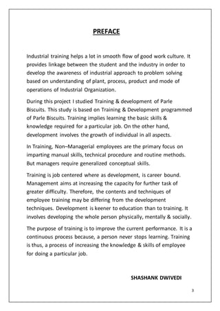 Summer training report | DOCX