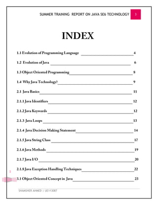 Summer training report on java se6 technology | PDF