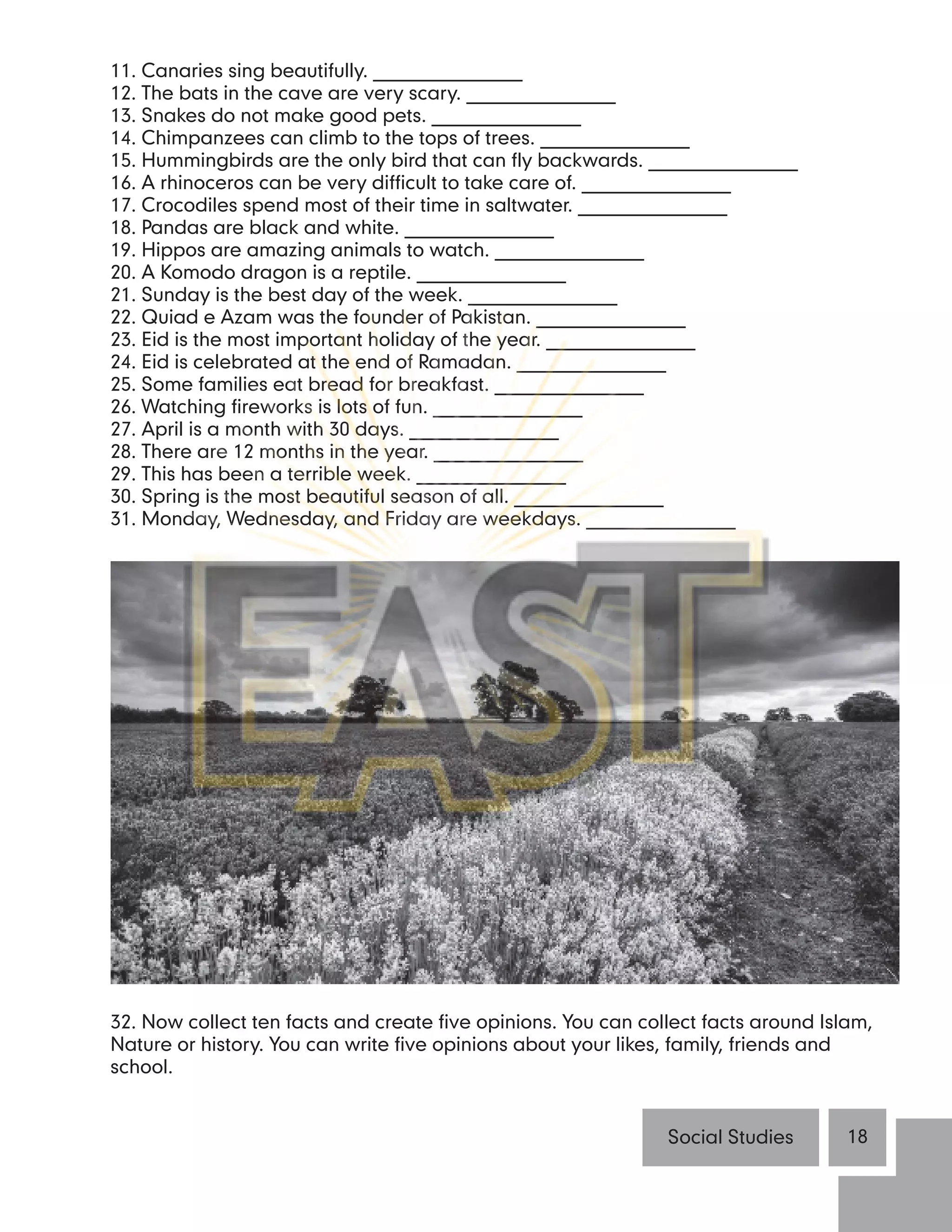 Summer vacation book class 5 primary | PDF | Birdwatching | Hobbies ...