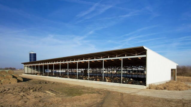 Summit Livestock Facilities - Monoslope Buildings | PPTX