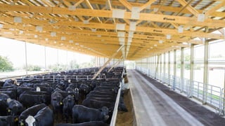 Summit Livestock Facilities - Monoslope Buildings | PPTX