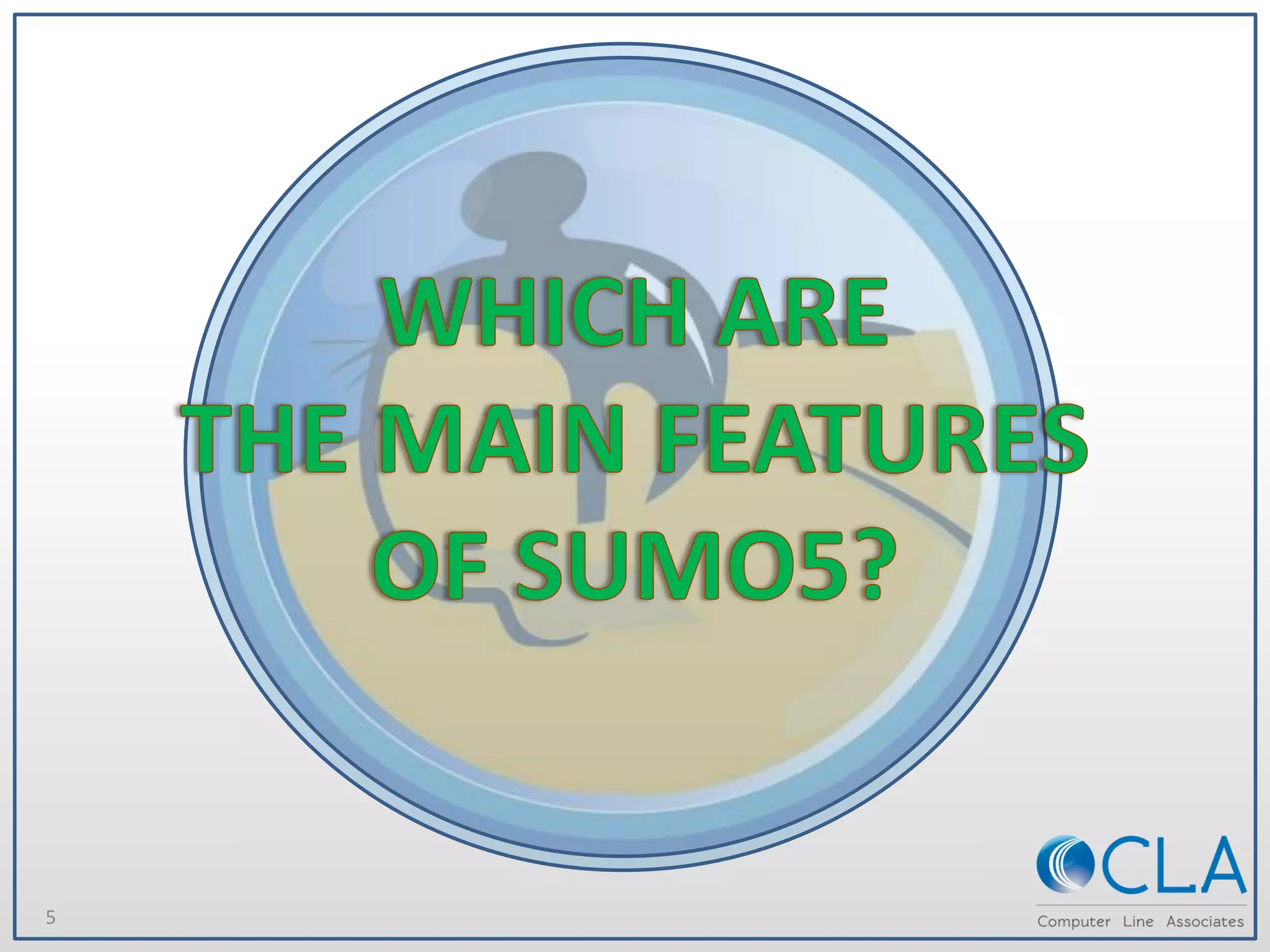 Sumo - Piping support material management | PDF