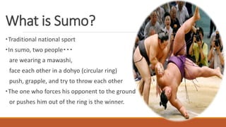 Sumo | PPT