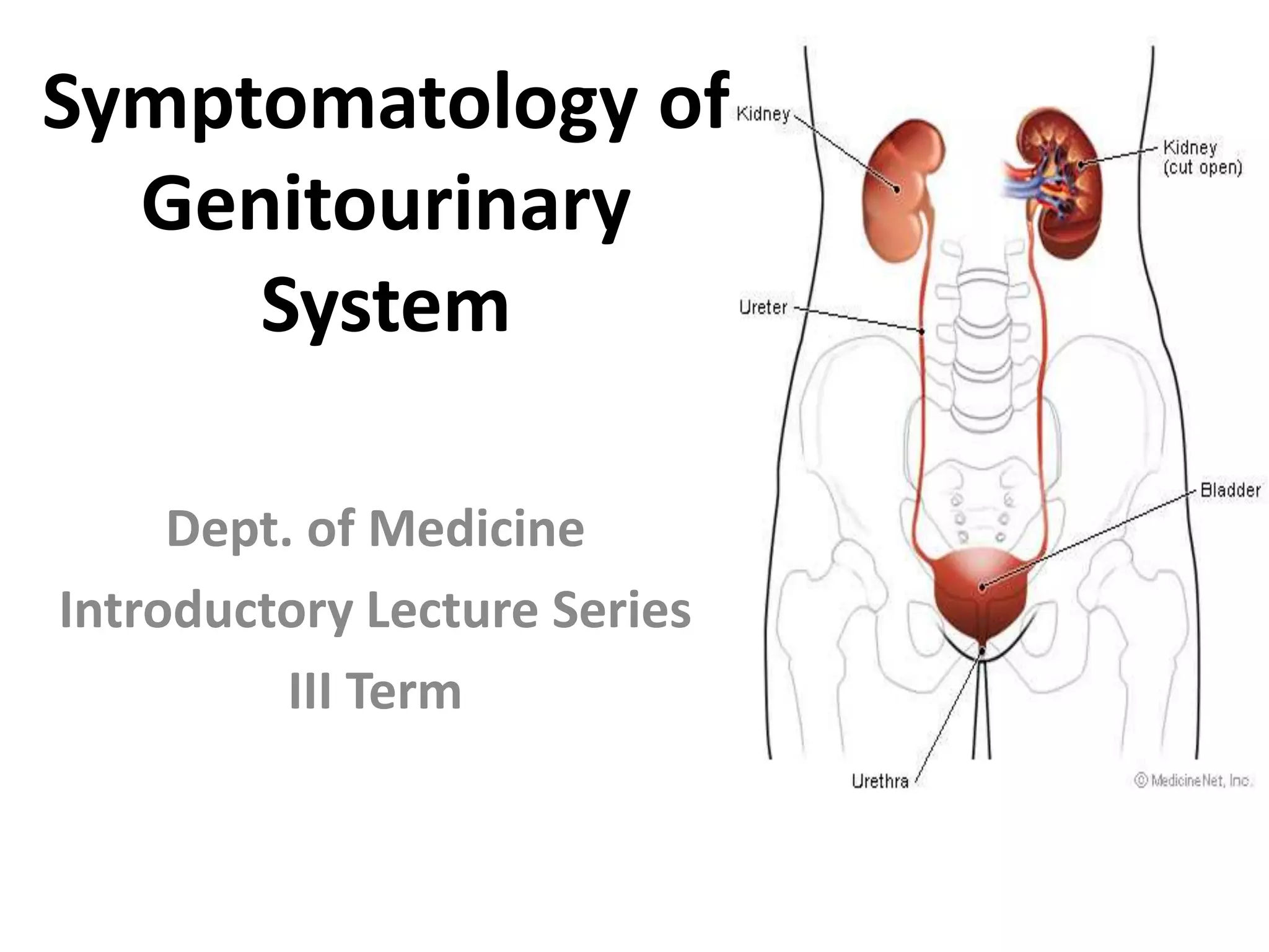 Symptomatology of genito urinary system | PPTX