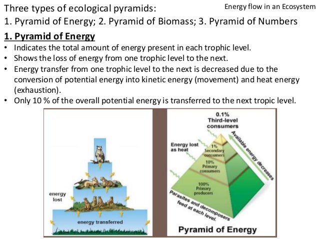 SUMSEM-2021-22_CHY1002_TH_VL2021220701537_Reference_Material_I_11-07 ...