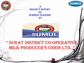 Sumul | PPT
