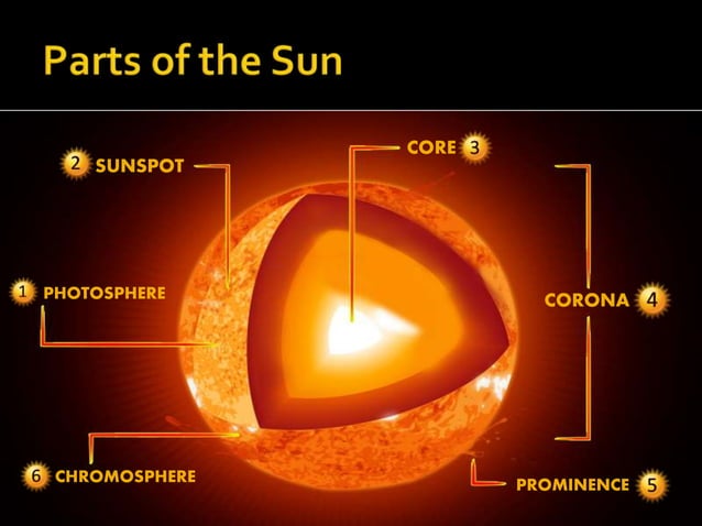 The Sun | PPTX | Space and Astronomy | Science
