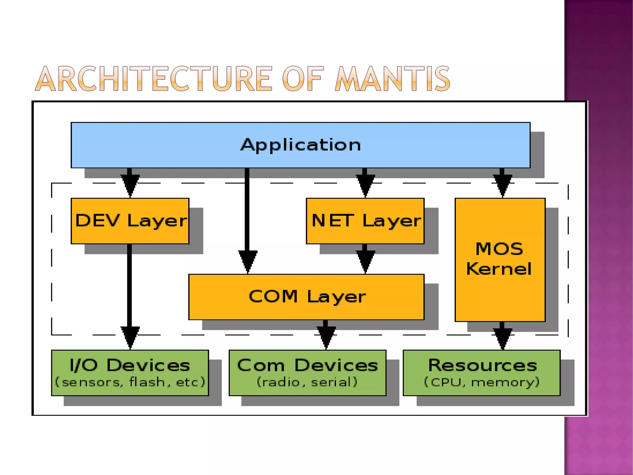 Sun Spots And Mantis A Comparative Study | PPT