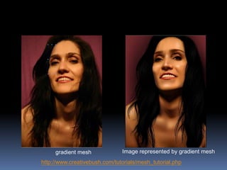 study Image Vectorization using Optimized Gradeint Meshes | PPT