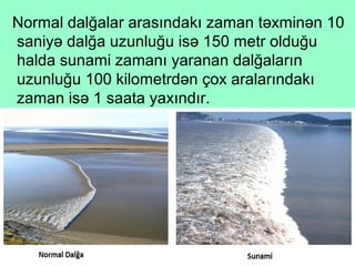 Sunami | PPT