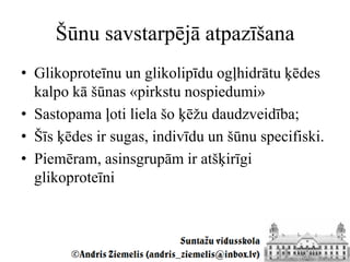 Sunas membrana | PDF