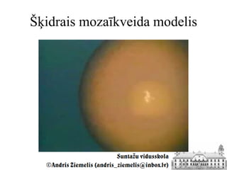 Sunas membrana | PDF