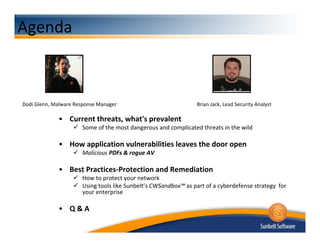 SunbeltLabs Quarterly Briefing Malware Unmasked | PPT