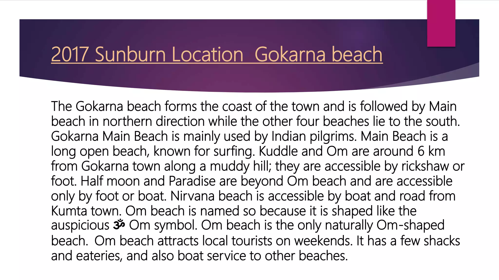 Sunburn Event management | PPTX