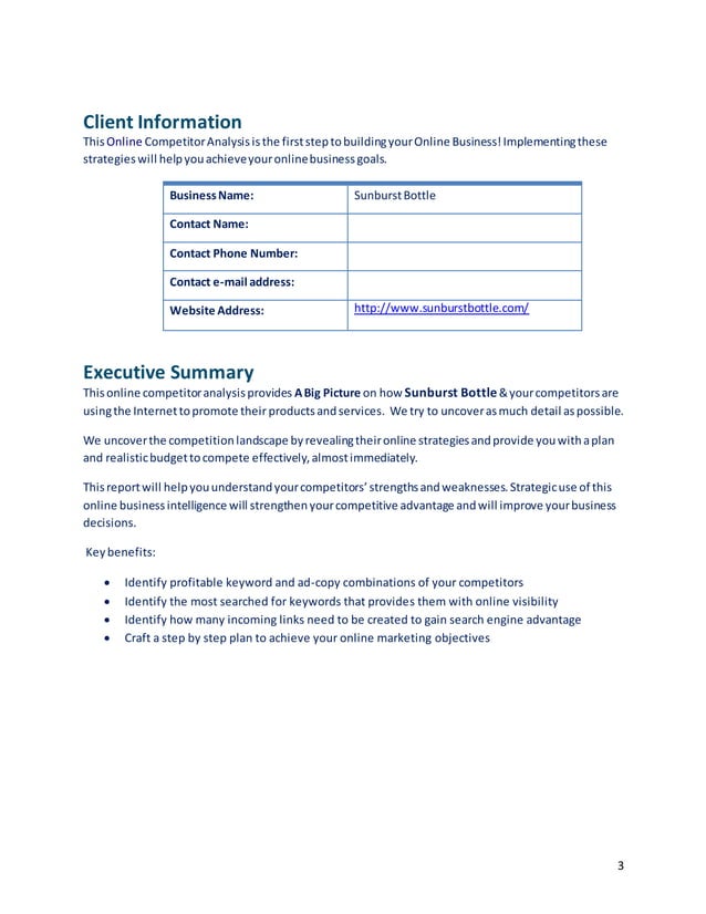 Example Detailed Competitive Analysis by Gregg Towsley | DOCX | Search ...