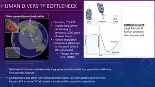 Sundaram et al. 2018 Presentation | PPTX