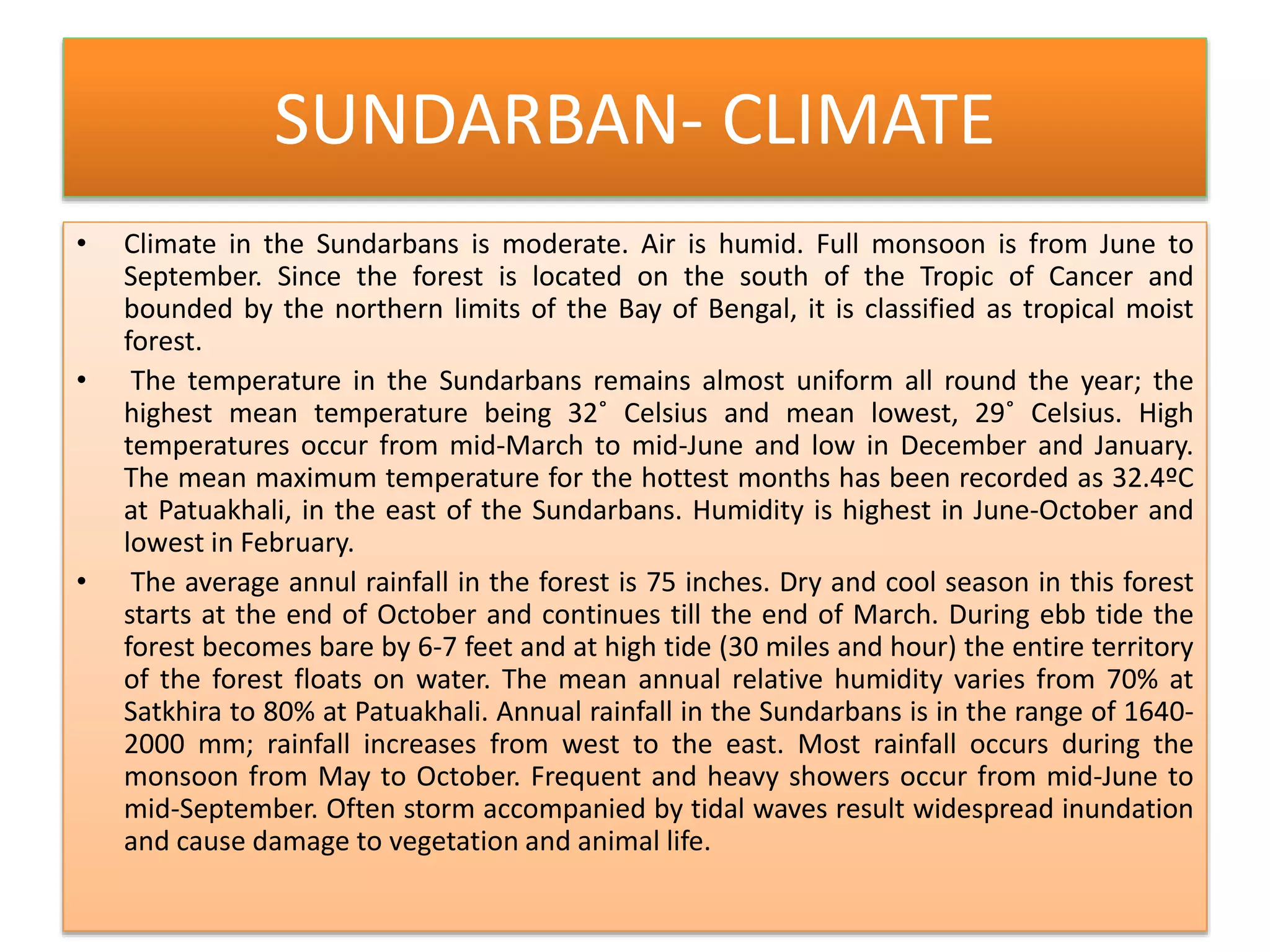 Sundarban | PPTX