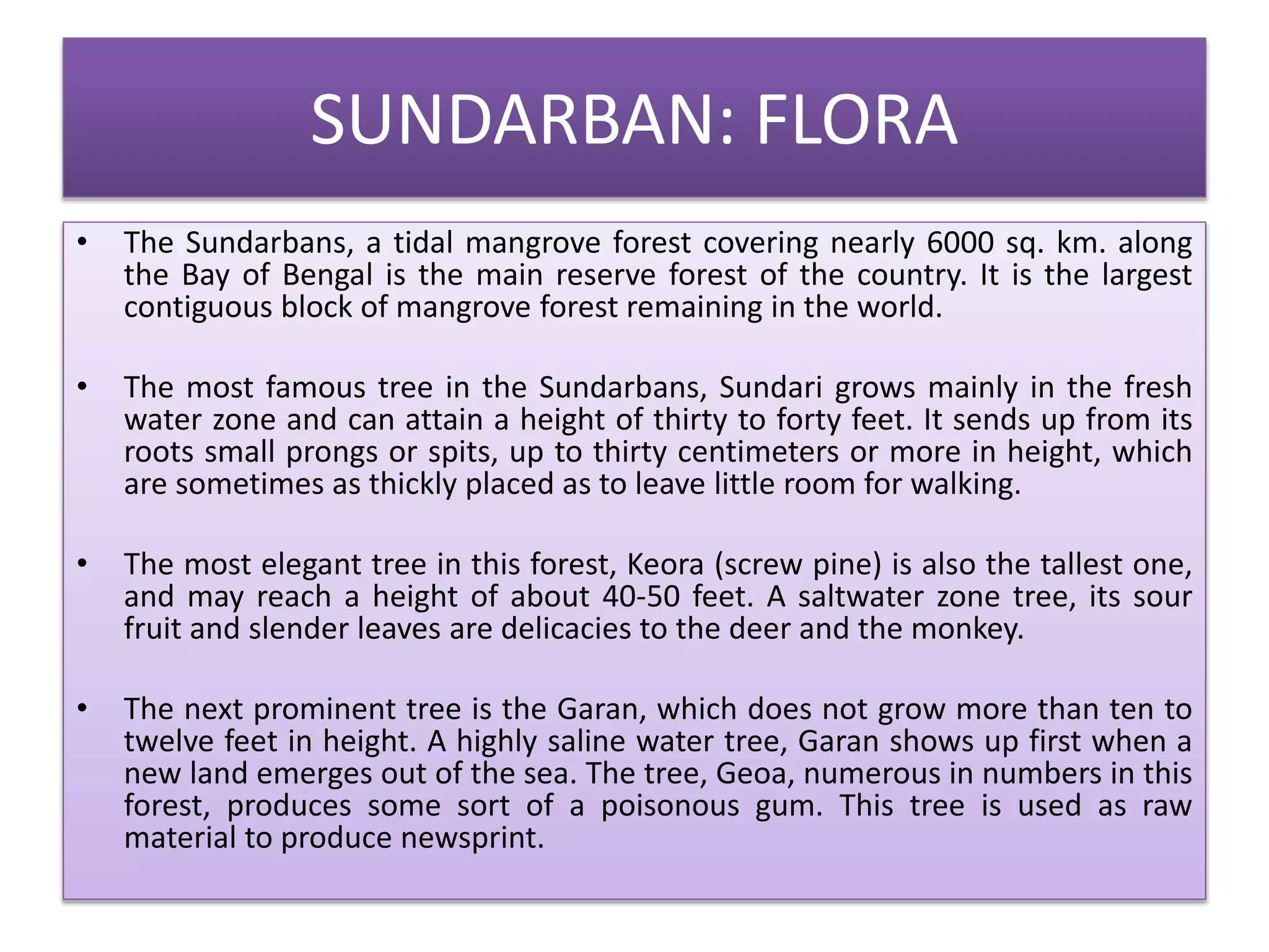 Sundarban | PPTX