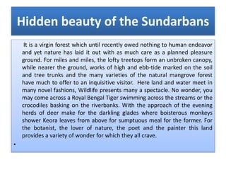 Sundarban | PPTX