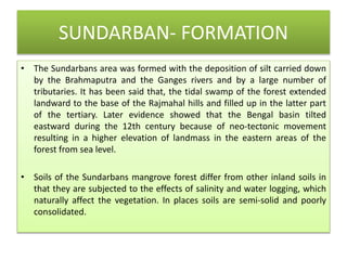 Sundarban | PPTX