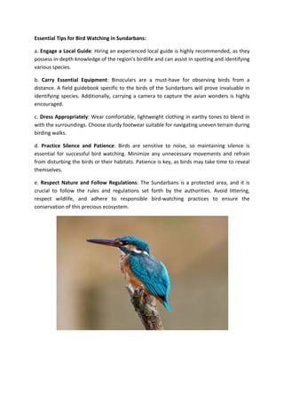 sundarban-birdwatching-tour.pdf