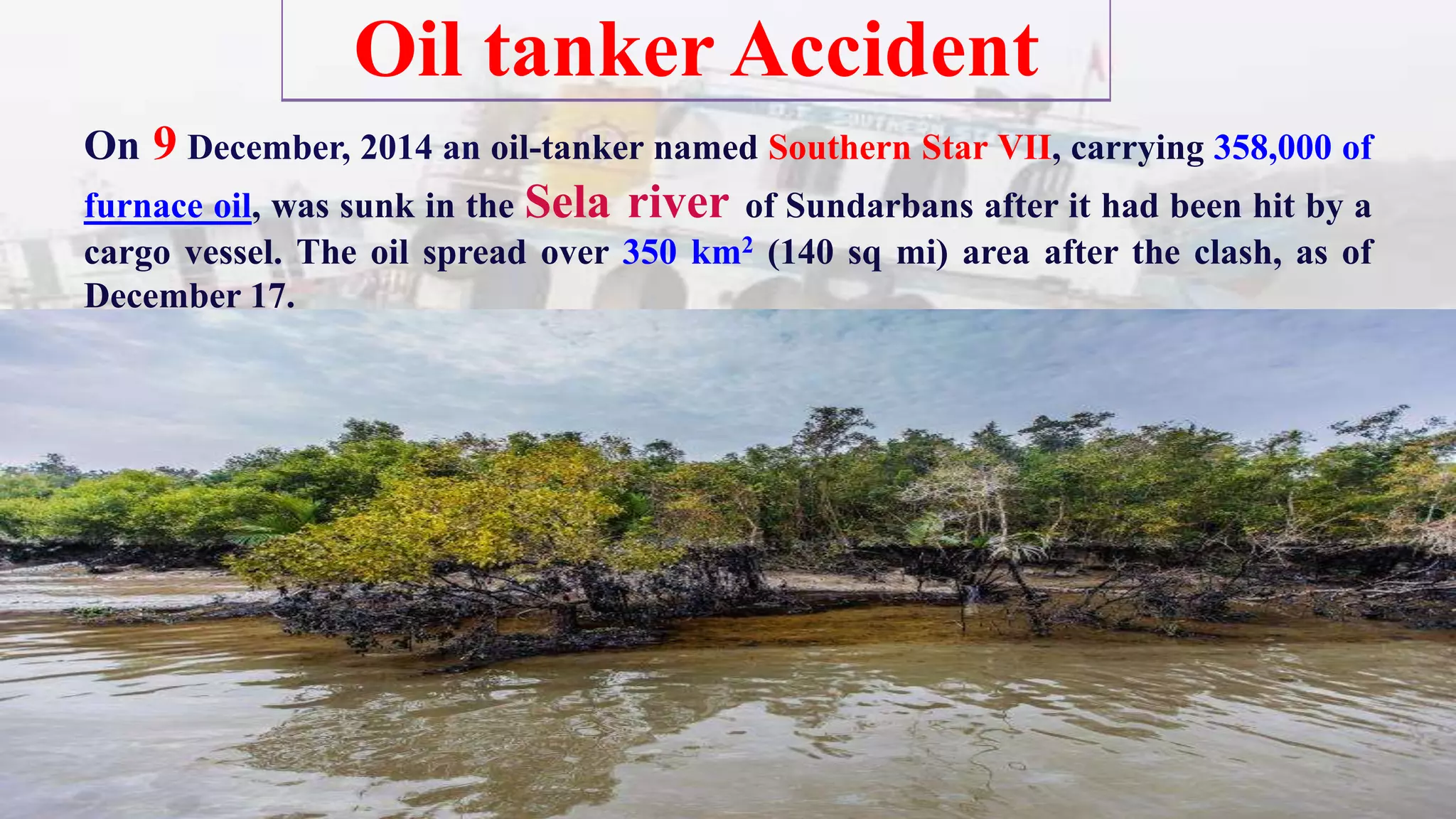 Presentation on Sundarban, Bangladesh | PPTX