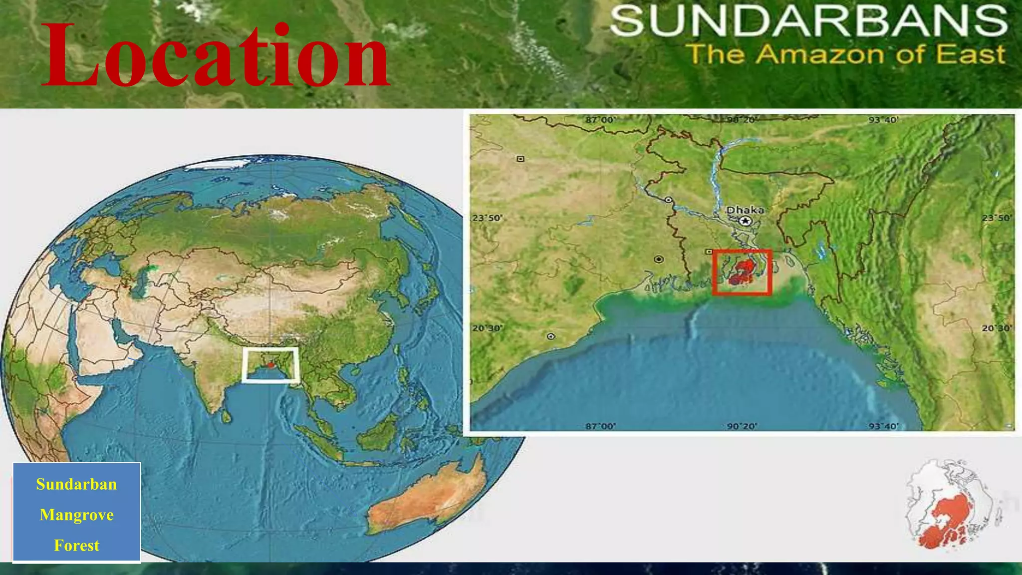 Presentation on Sundarban, Bangladesh | PPTX